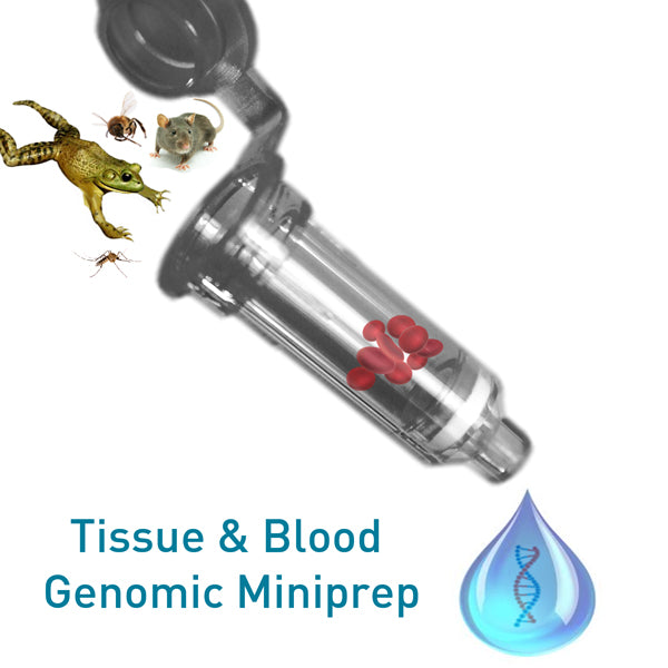 GenCatch™ Blood & Tissue Genomic Mini Prep Kit - Epoch Life Science
